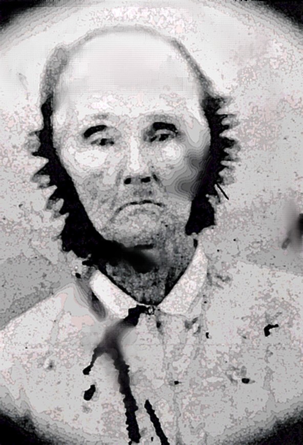 Thacker Family Forest